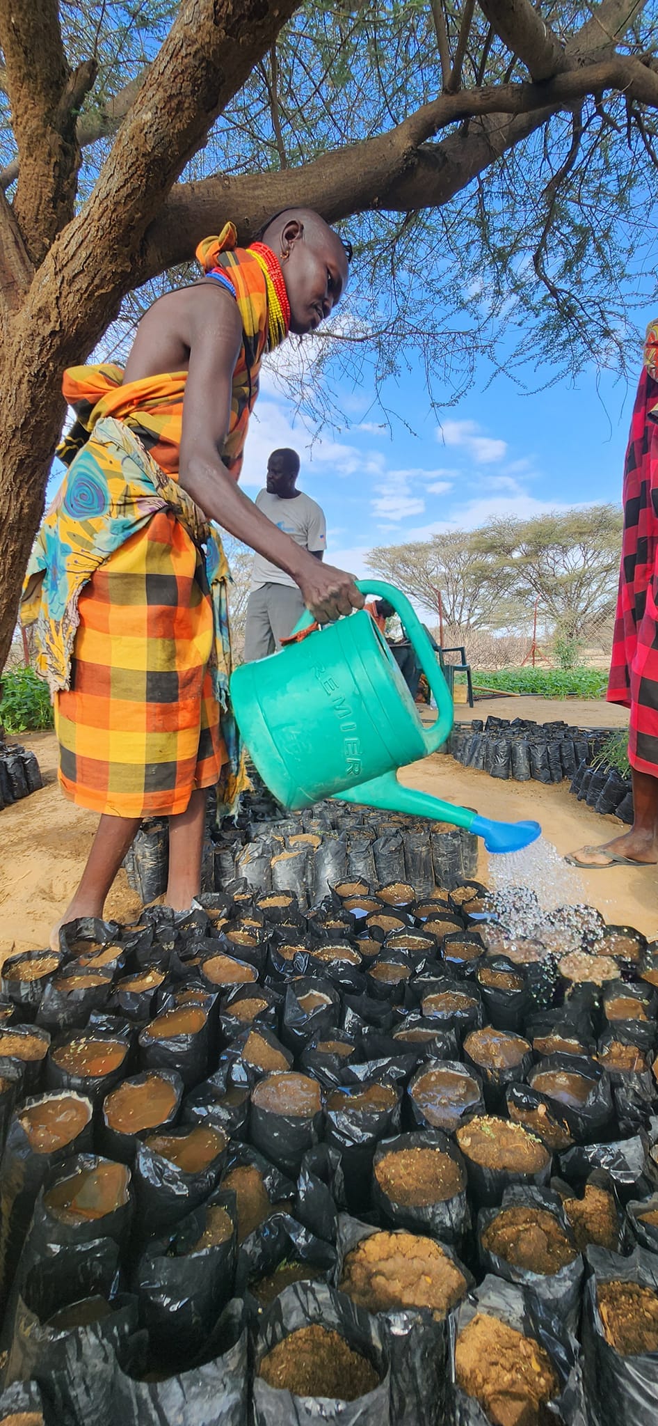 Tree Planting – Lotus Kenya Action for Development organization